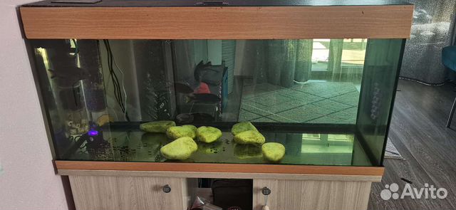 Аквариум