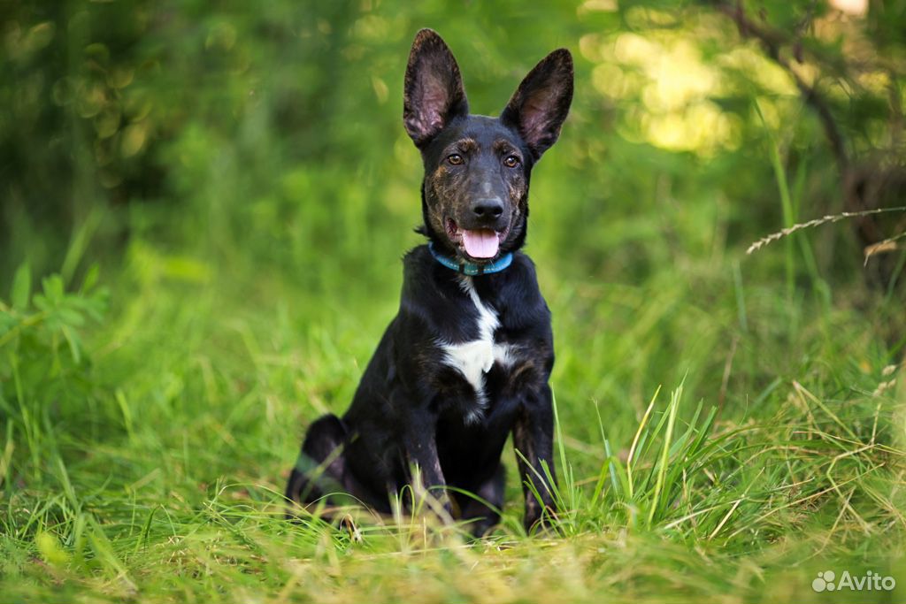 Красавица девочка 5 мес